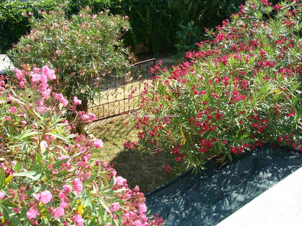 VIR: 168 m2, sniženo!!! (prodaja)