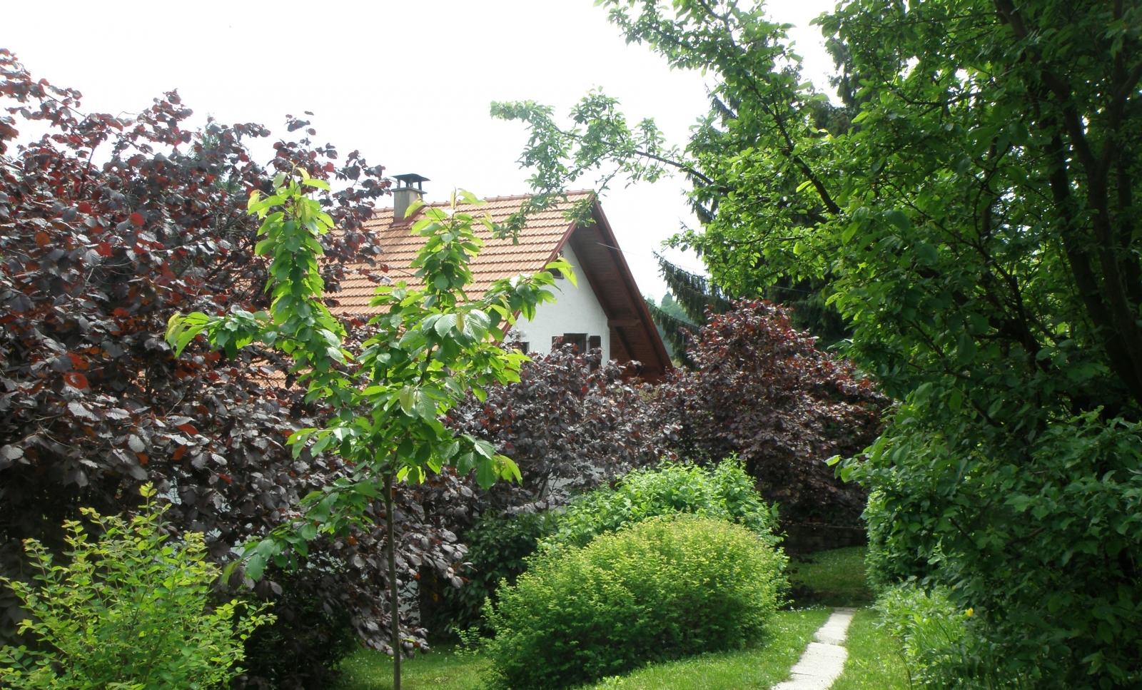 Jagodišće, kuća s 3stana,1330m2 gradilišta, prekrasna priroda,panorama ...