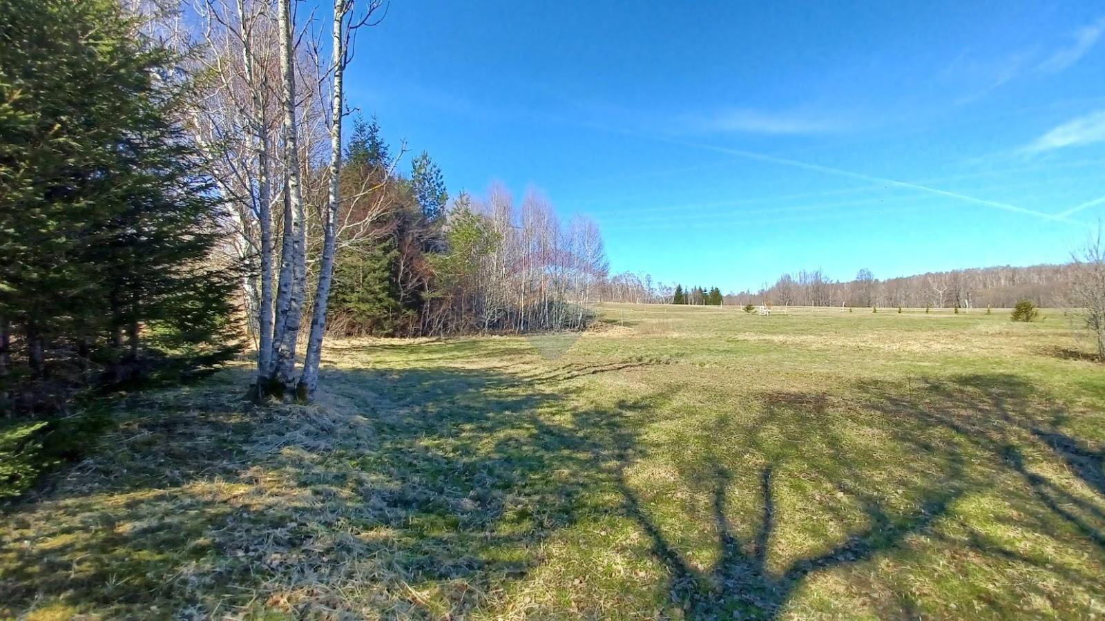 Lič - građevinski teren među smrekama 3179 m2