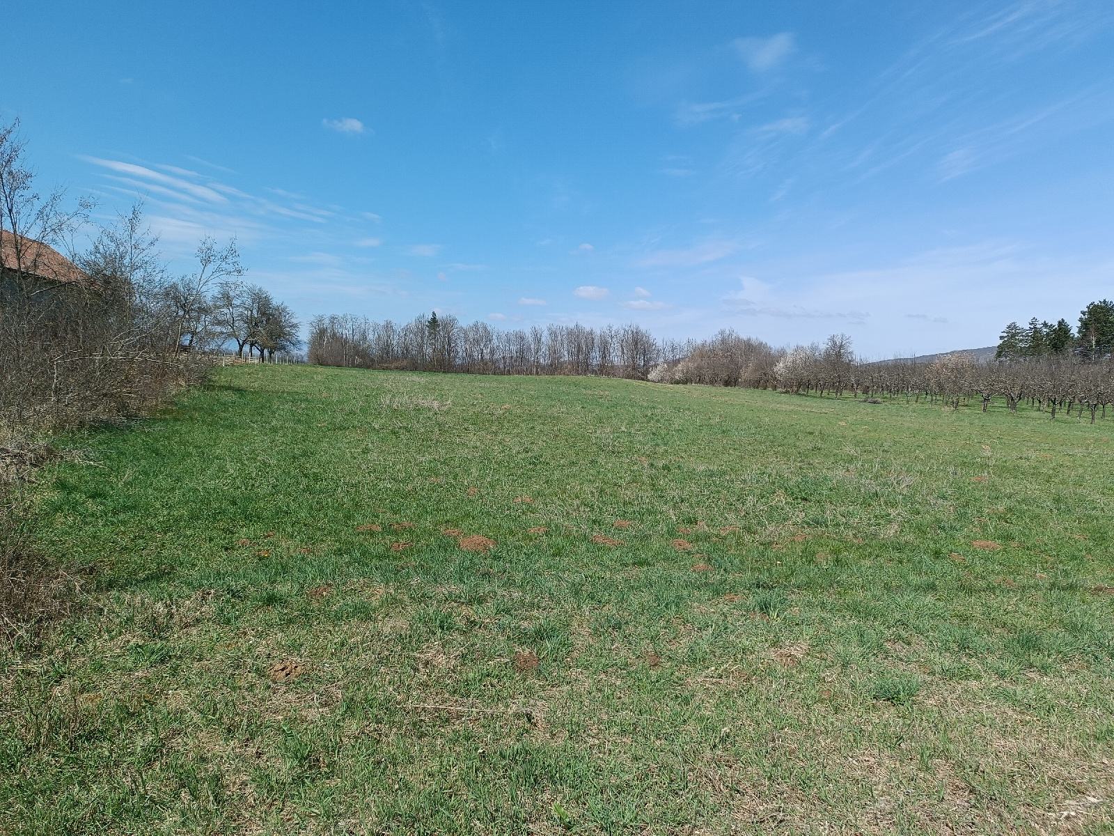 LIČKI OSIK, 2 PARCELE, PREKO 3 HEKTARA