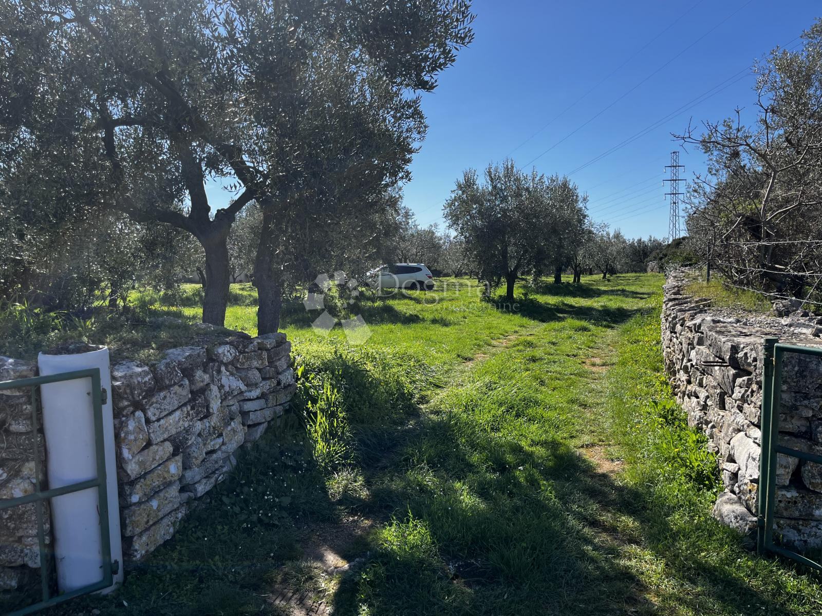 Lijep maslinik u Fažani