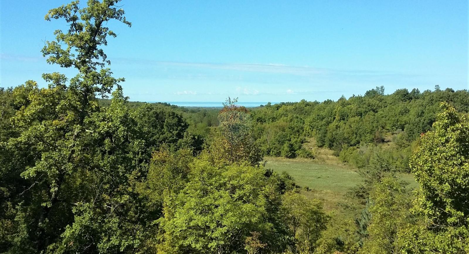 Momjan (Istra), građevinski teren - panoramski pogled na more