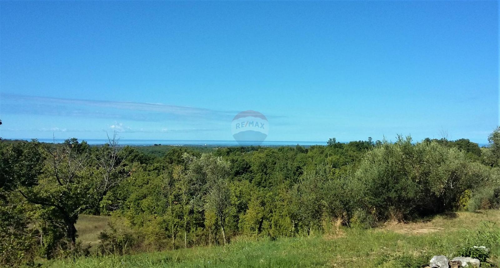 Momjan, predivna građevinska parcela - pogled na more