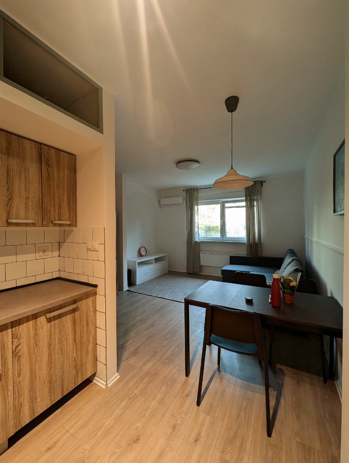 Savica, Milke Trnine, 40m2, Iznajmljivanje, BEZ PROVIZIJE (iznajmljivanje)