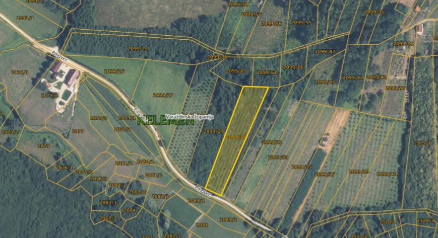 Nasad lješnjaka, Pihovec, 4940 m2