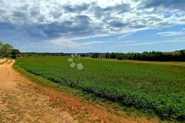 Oranice u Manjadvorcima 23.775 m2