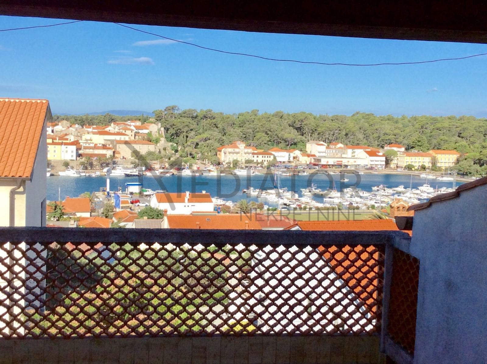 OTOK RAB, CENTAR, SAMOSTOJEĆA KUCA S OKUCNICOM, 375M2 + 800M2 OKUCNICA ...