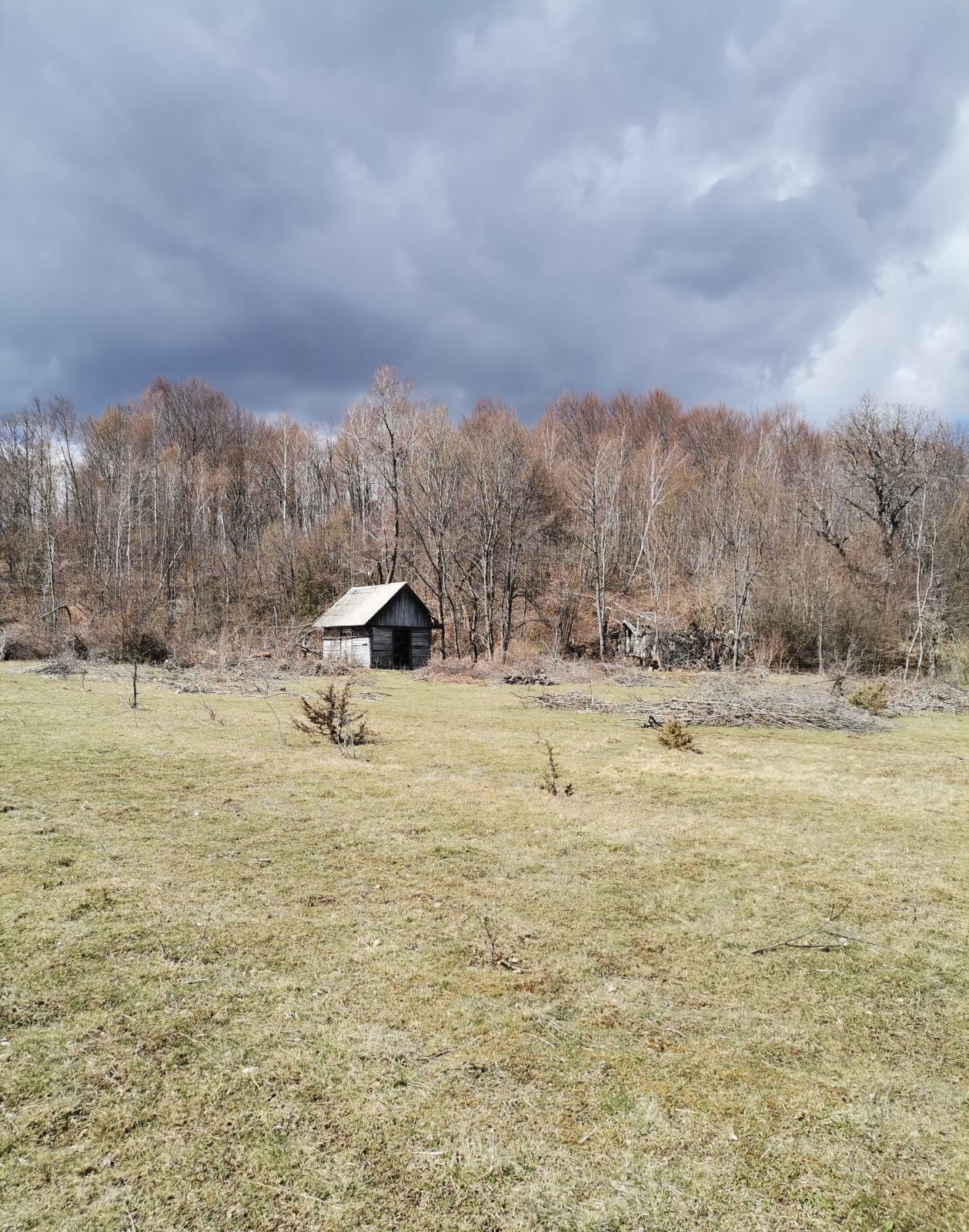 PAZARIŠTE, PARCELA IDEALNA ZA AVANTURISTE, 16000 m2 - 55.000,00 EURA