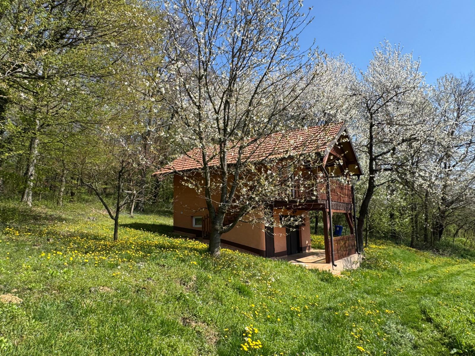 Pobjegnite od svakodnevice - idilična klet okružena zelenilom