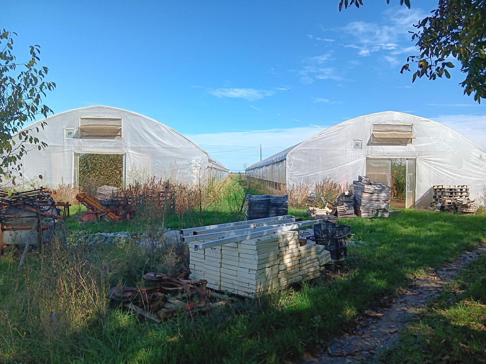 Poljoprivredno zemljište, Novi Bezdan, 8992 m2