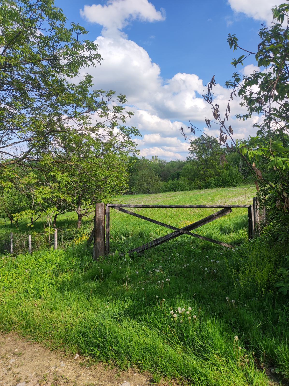 Poljoprivredno zemljište, Cepeliš, 4000 m2
