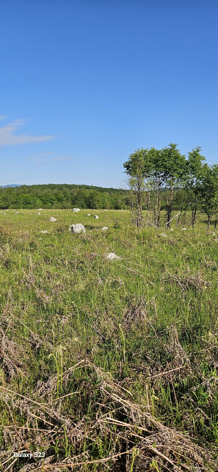 Poljoprivredno zemljište, Donje Dubrave, 43000 m2