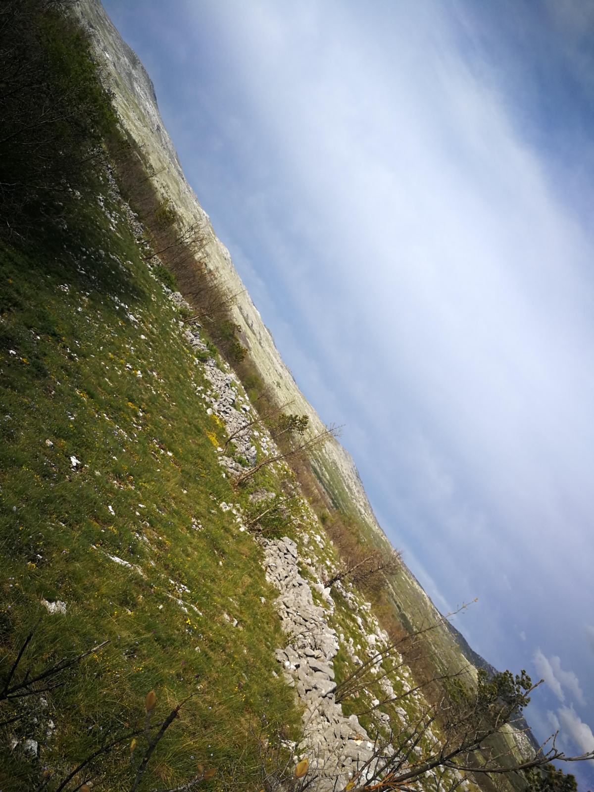 Poljoprivredno zemljište, Gornji Bitelić, 4600 m2