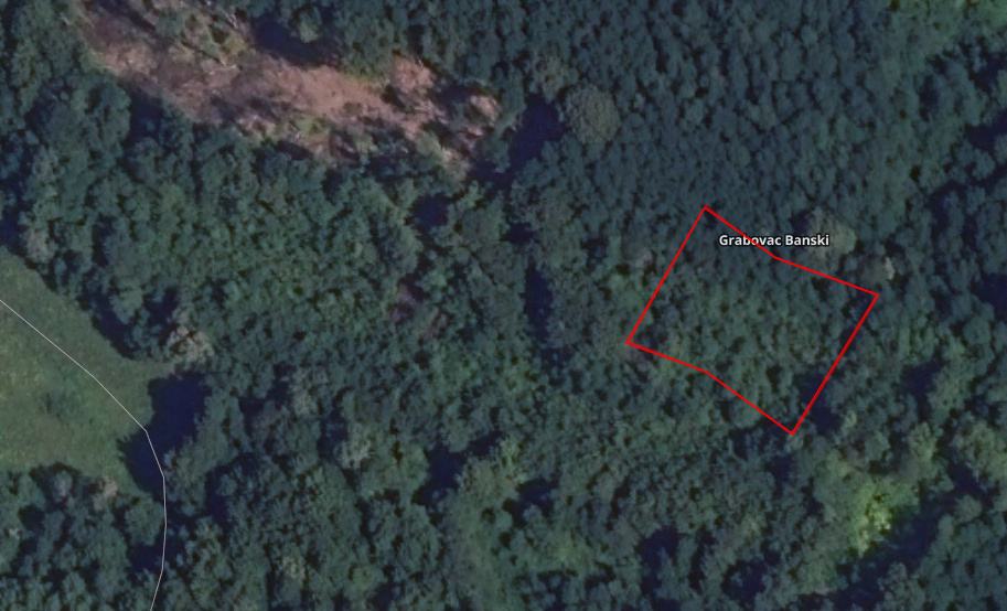 Poljoprivredno zemljište, Grabovac Banski, 1899 m2