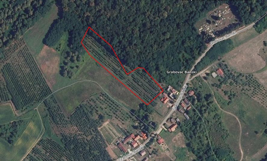 Poljoprivredno zemljište, Grabovac Banski, 8884 m2, DRAŽBA
