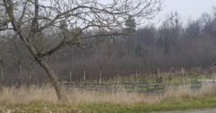 Poljoprivredno zemljište: Grabovac Banski bb, Petrinja 16,023 m2