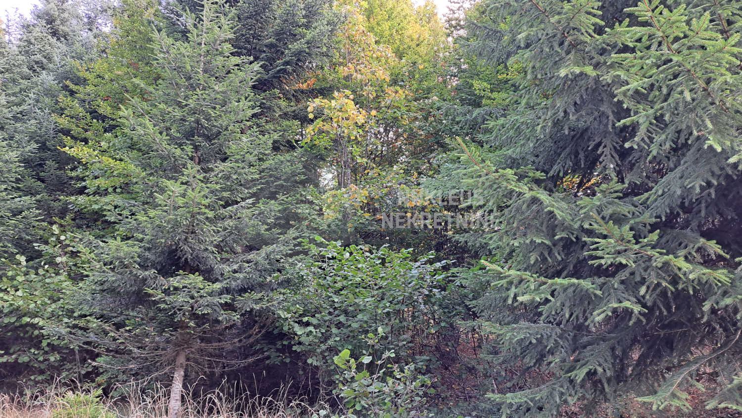 Vrbovsko, Jablan, šumska oaza