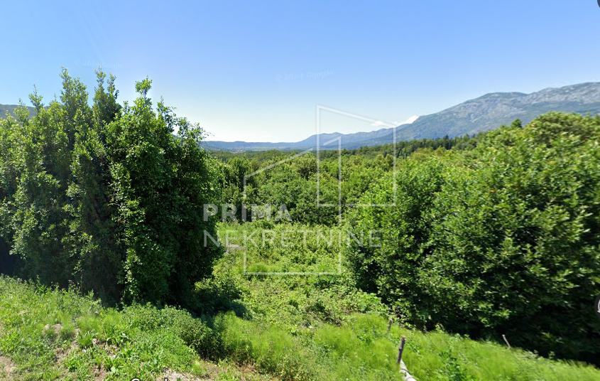 Palje brdo, poljoprivredno zemljište, 11.776 m2