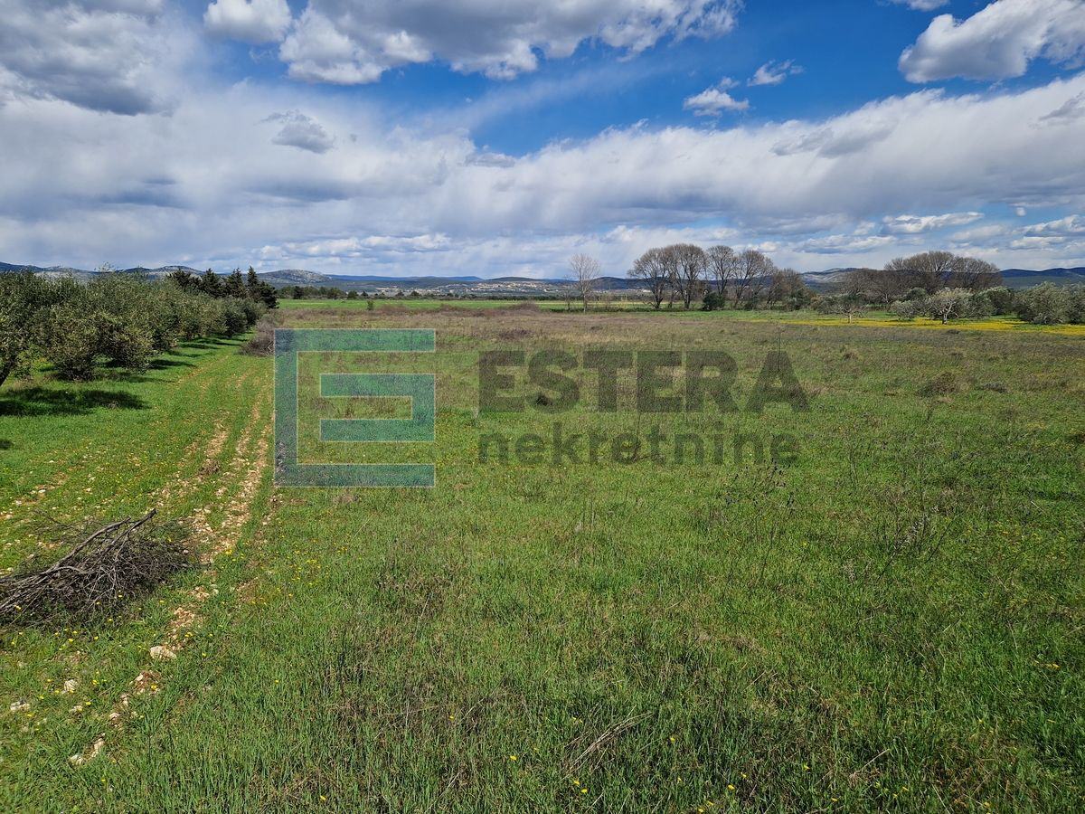 Poljoprivredno zemljište PRODAJA - Biograd na Moru 4.034 m2