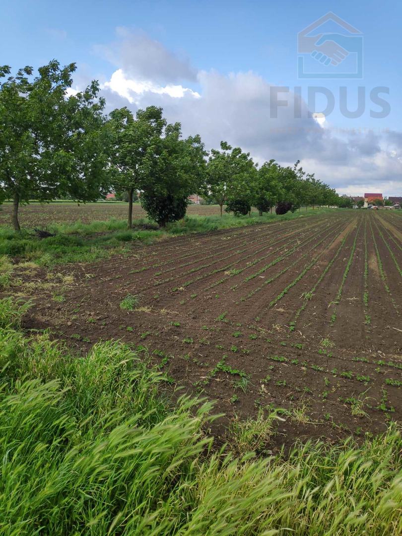 Poljoprivredno zemljište - Tenja