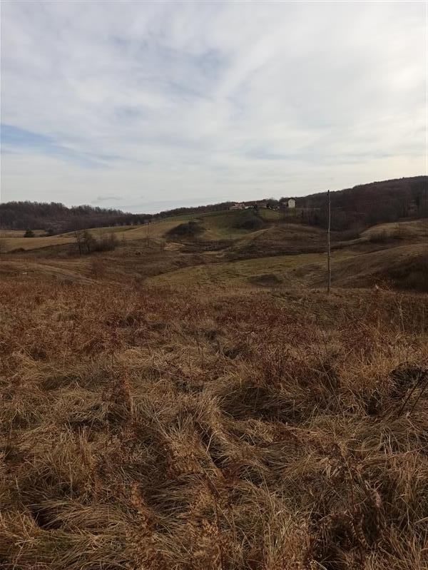 Poljoprivredno zemljište, Veljun, 56119 m2