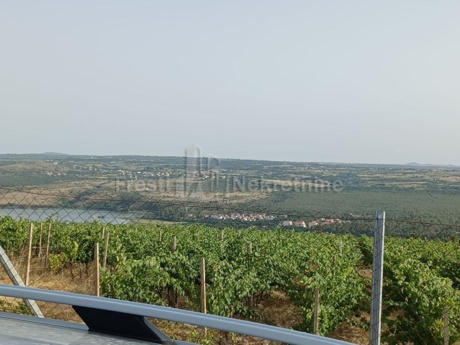 POSEDARJE-26125 m2 vinograd vrsne franc. sorte + kuća+ izg. do 600 m2
