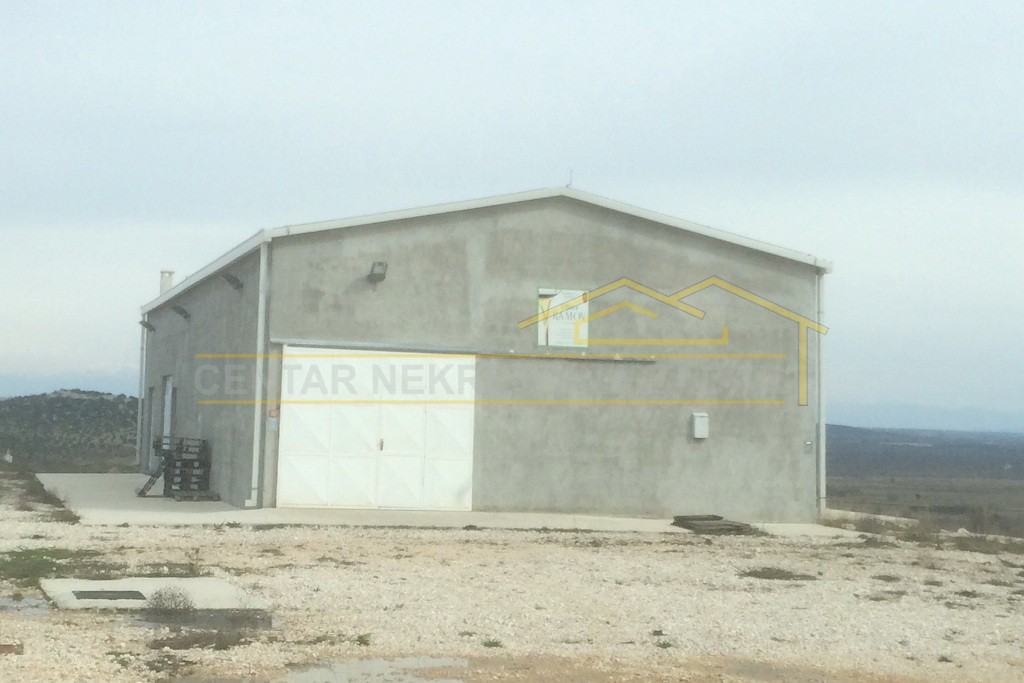 POSLOVNA GRAĐEVINA STANKOVCI - ULJARA (prodaja)