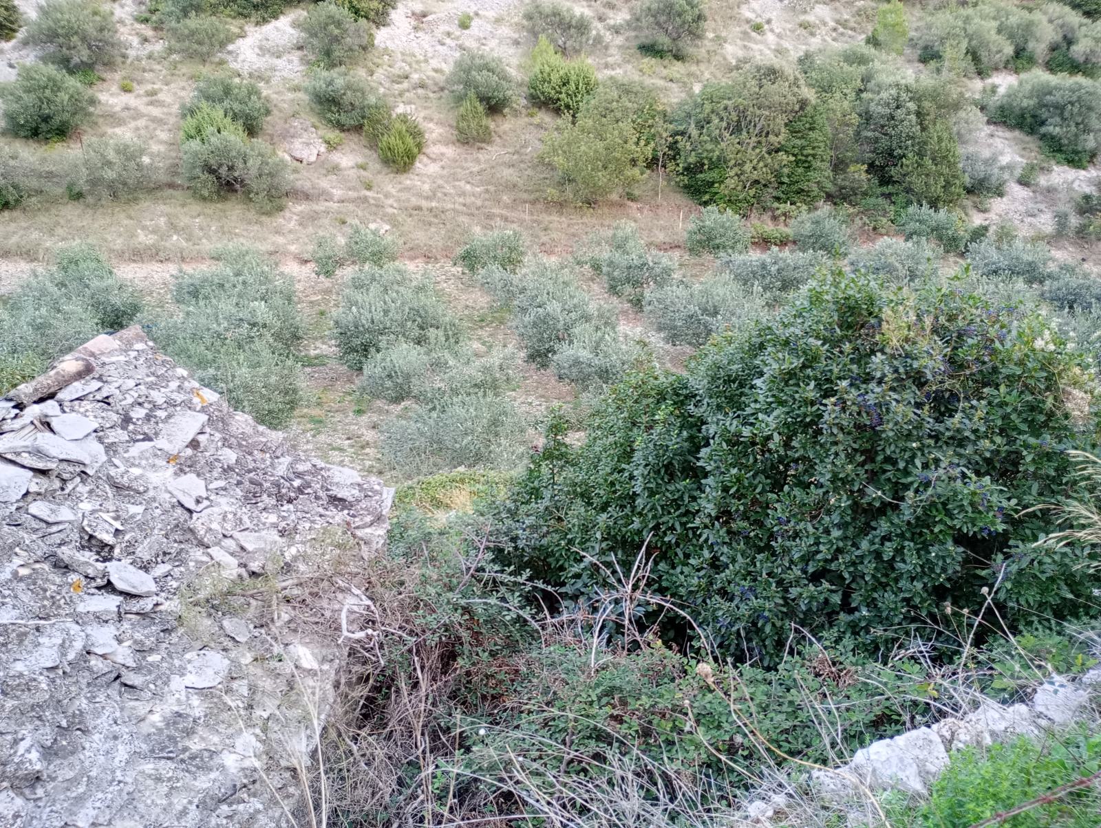 Postira, polj.zemljište, 9.300m2 (4 parcele) + 15 m2 kućica