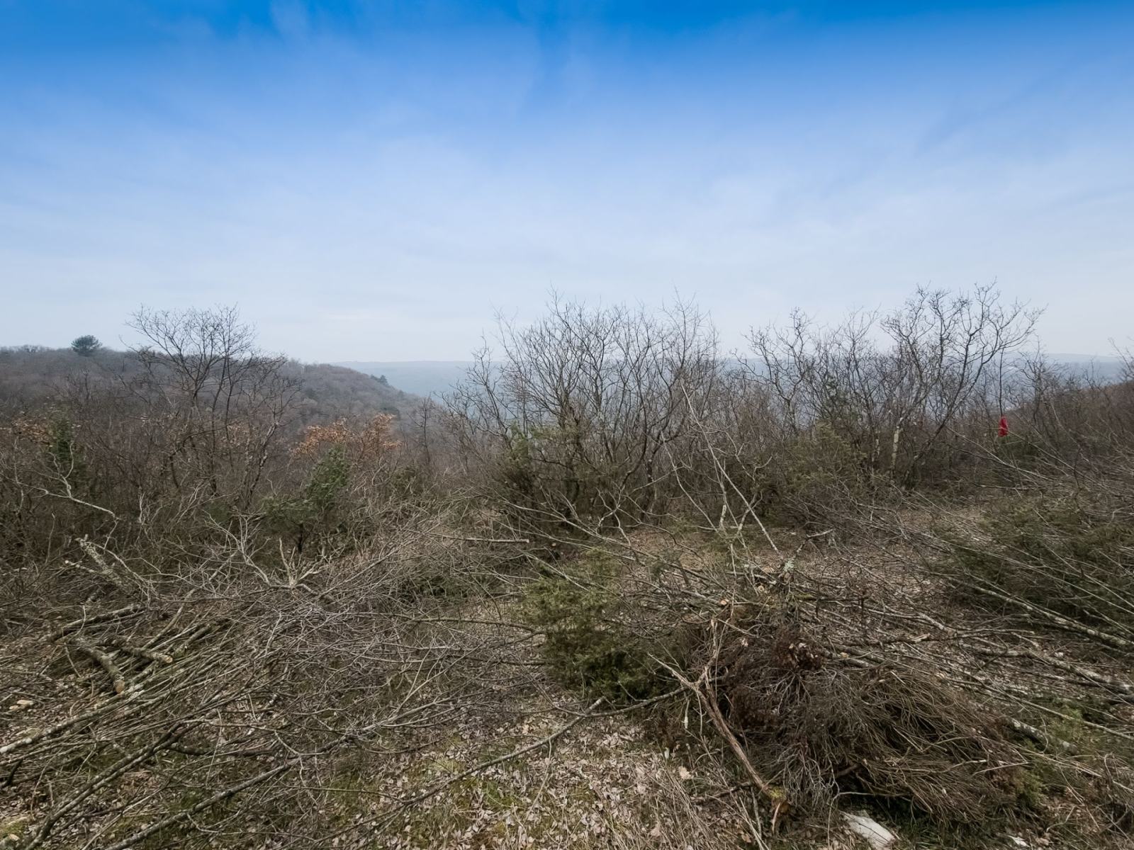 Predivno zemljište u blizini centra Labina