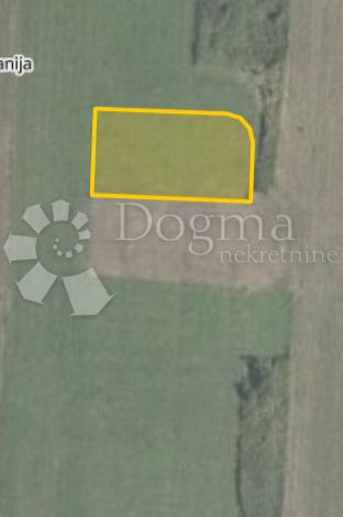 Rijetka prilika u Hrašćici