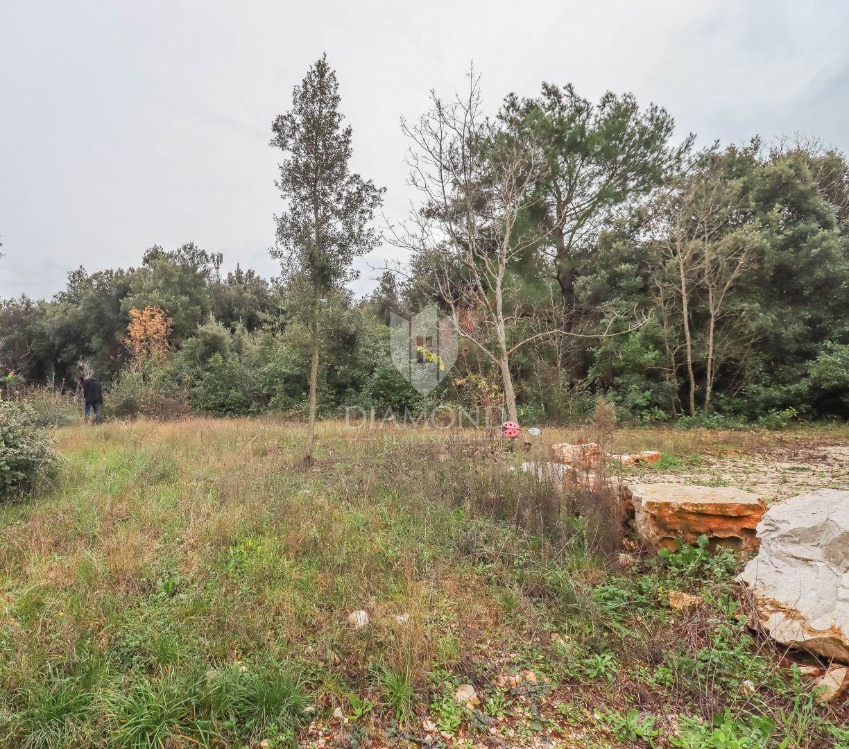 Rovinj!Poljoprivredni teren blizu mora!