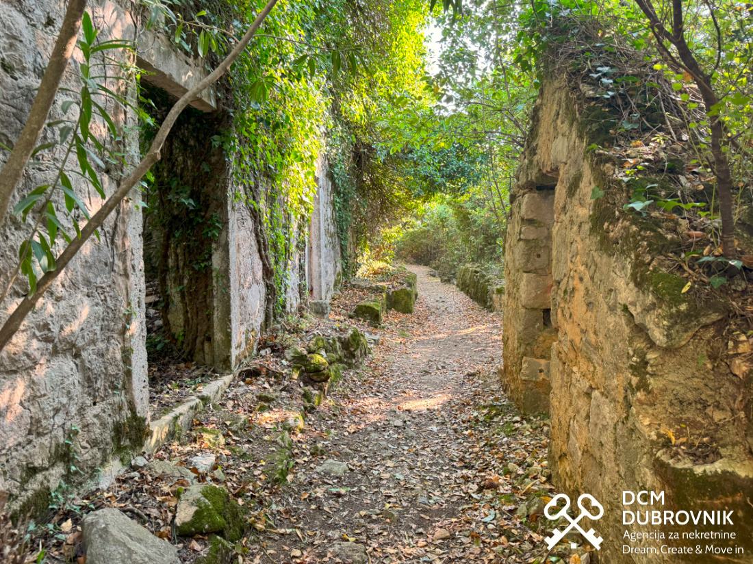Ruševine na Koločepu – u srcu netaknute prirode (prodaja)