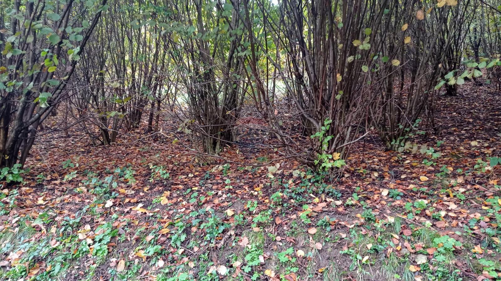 Samobor, Rude, građevinsko zemljište 2100 m2