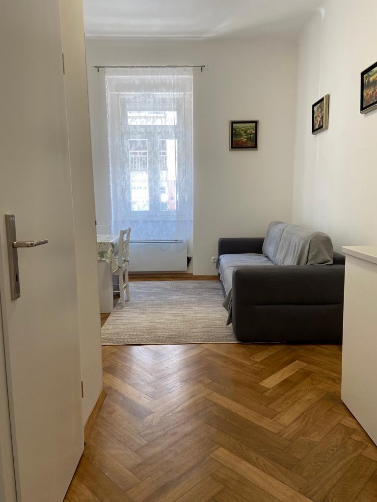 Garsonijera u centru (Primorska ulica), 20.00 m2 (iznajmljivanje)
