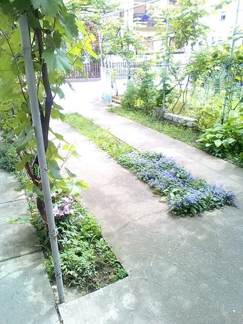 Ivanja Reka, 2sobni stan 80m2 na katu kuće 350€ parking, terasa, klima ...