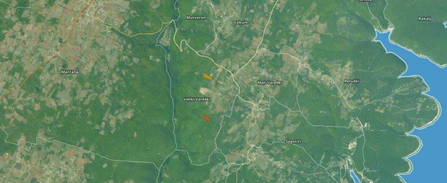 Šuma hrasta medunca, Marčana, 12157 m2, SNIŽENO!