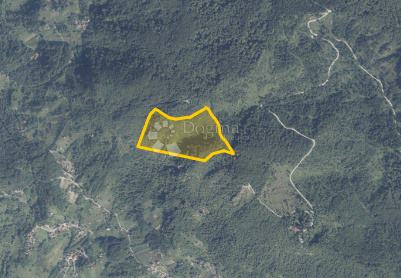 Šuma na Ravnoj gori