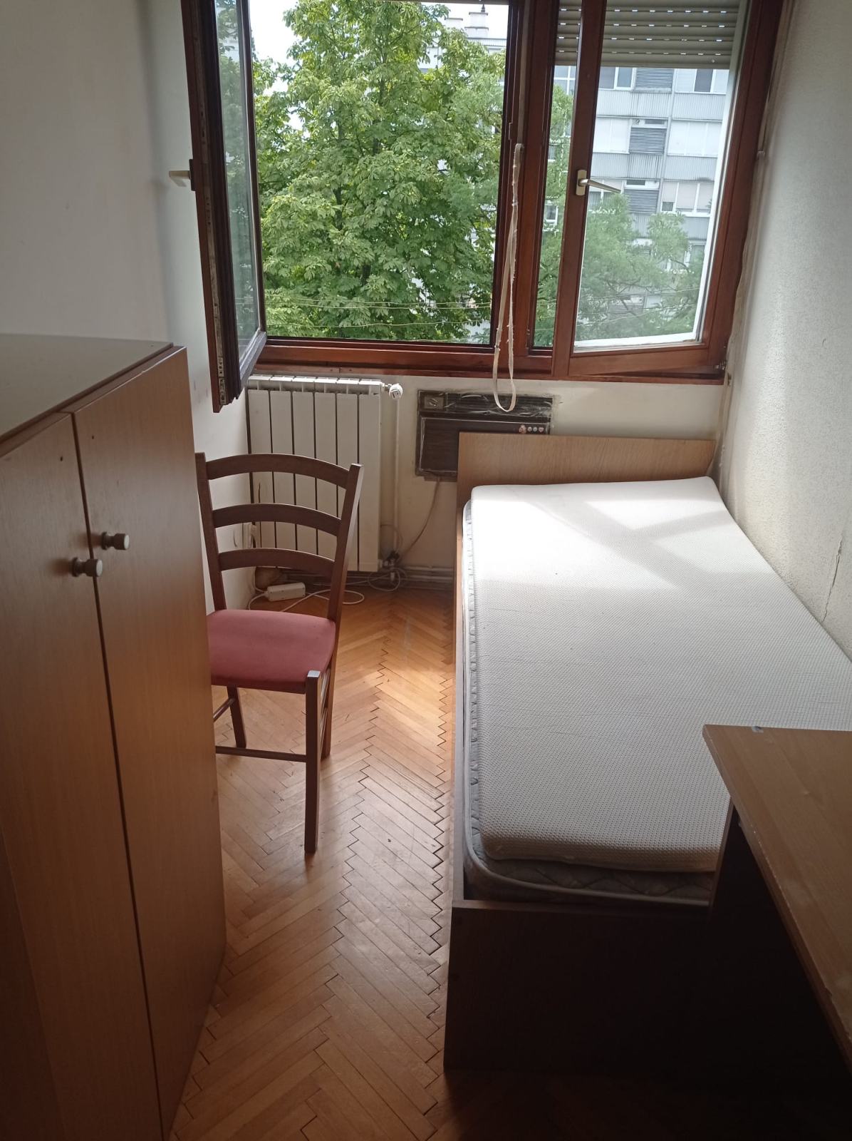 TRAZIM CIMERICU, STAN NA BORONGAJU