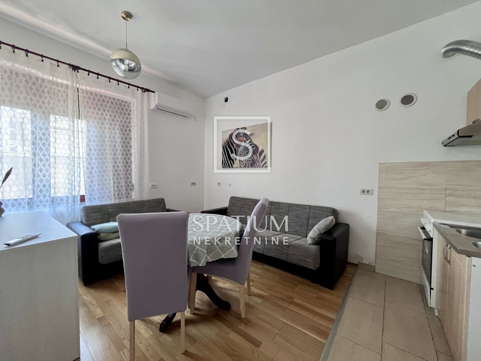 TURNIĆ, JEDNOSOBAN STAN ZA NAJAM (iznajmljivanje)