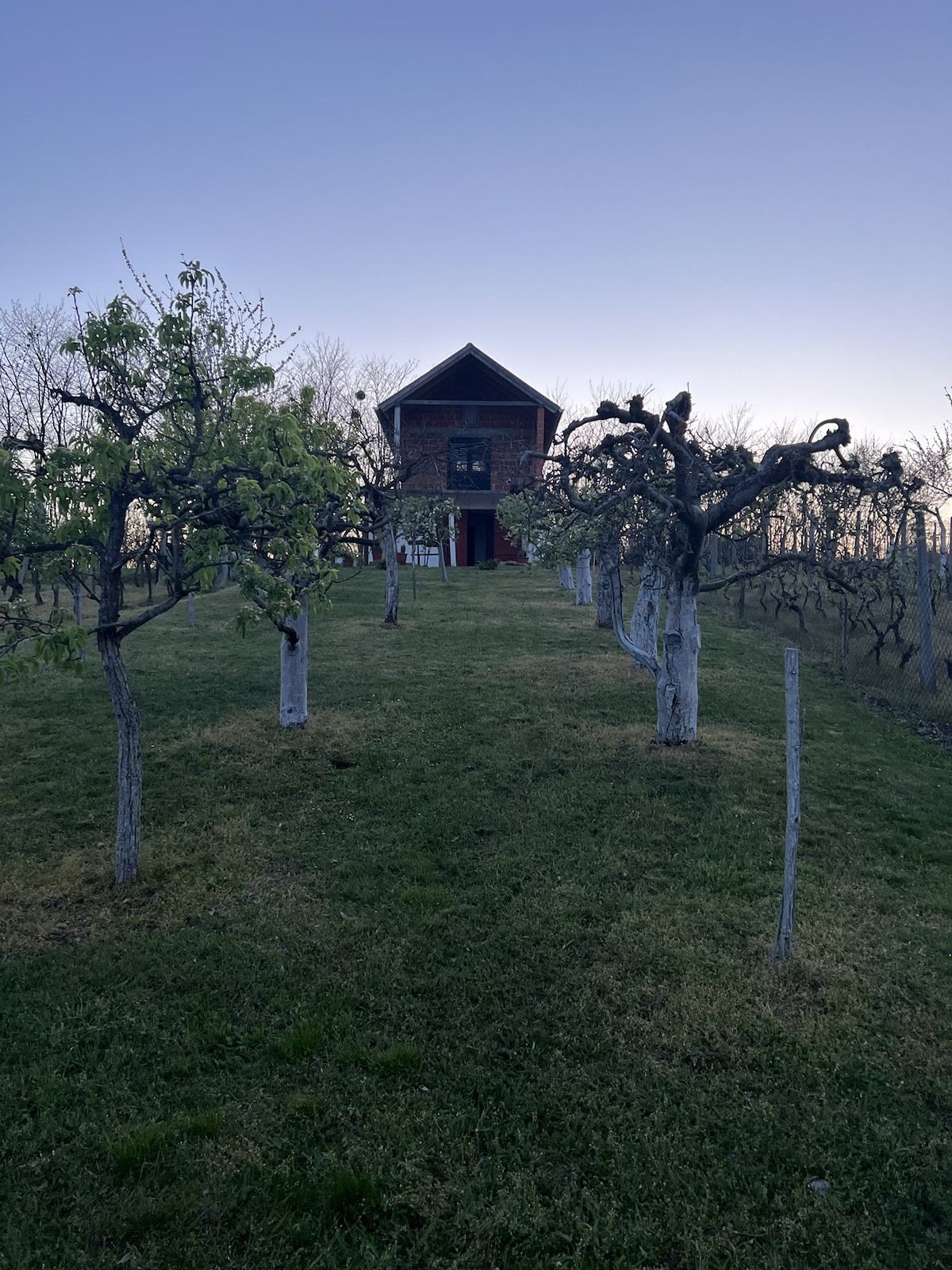 Vikendica Špišić Bukovica