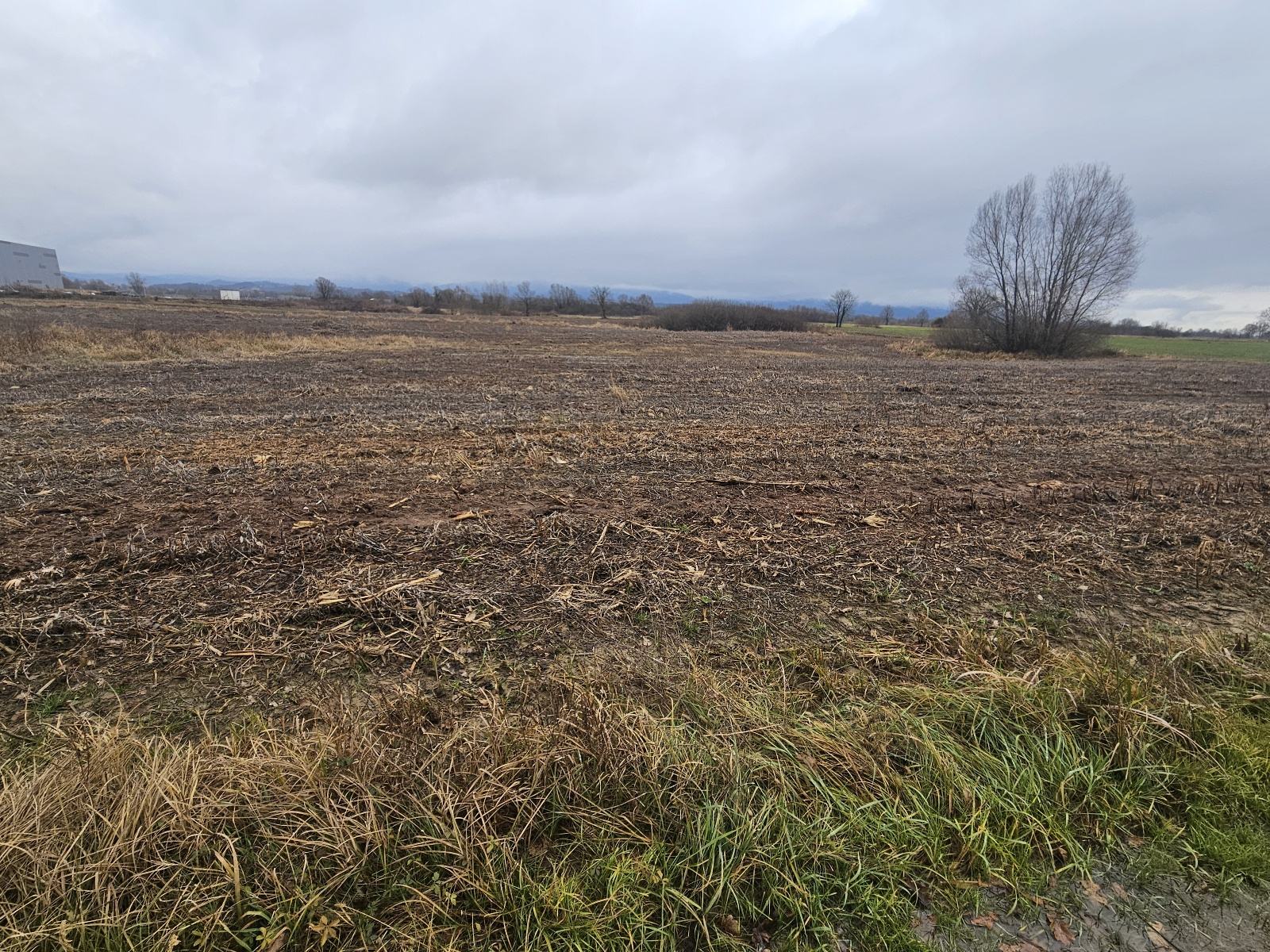 Zemljište u gospodarskoj zoni Općina Luka 25000m2- uz Lagermax