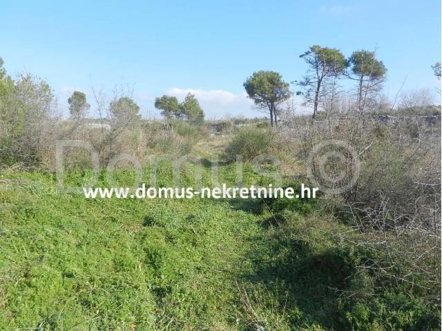 Vodice, poljoprivredno zemljište 5.670m2, 2km do mora