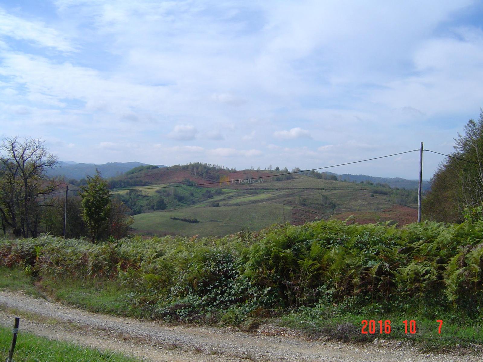 Zemljište: Svinica Krstinjska, 10260.00 m2