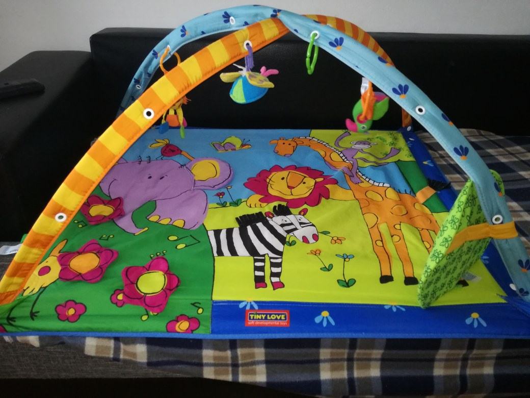 Baby gym