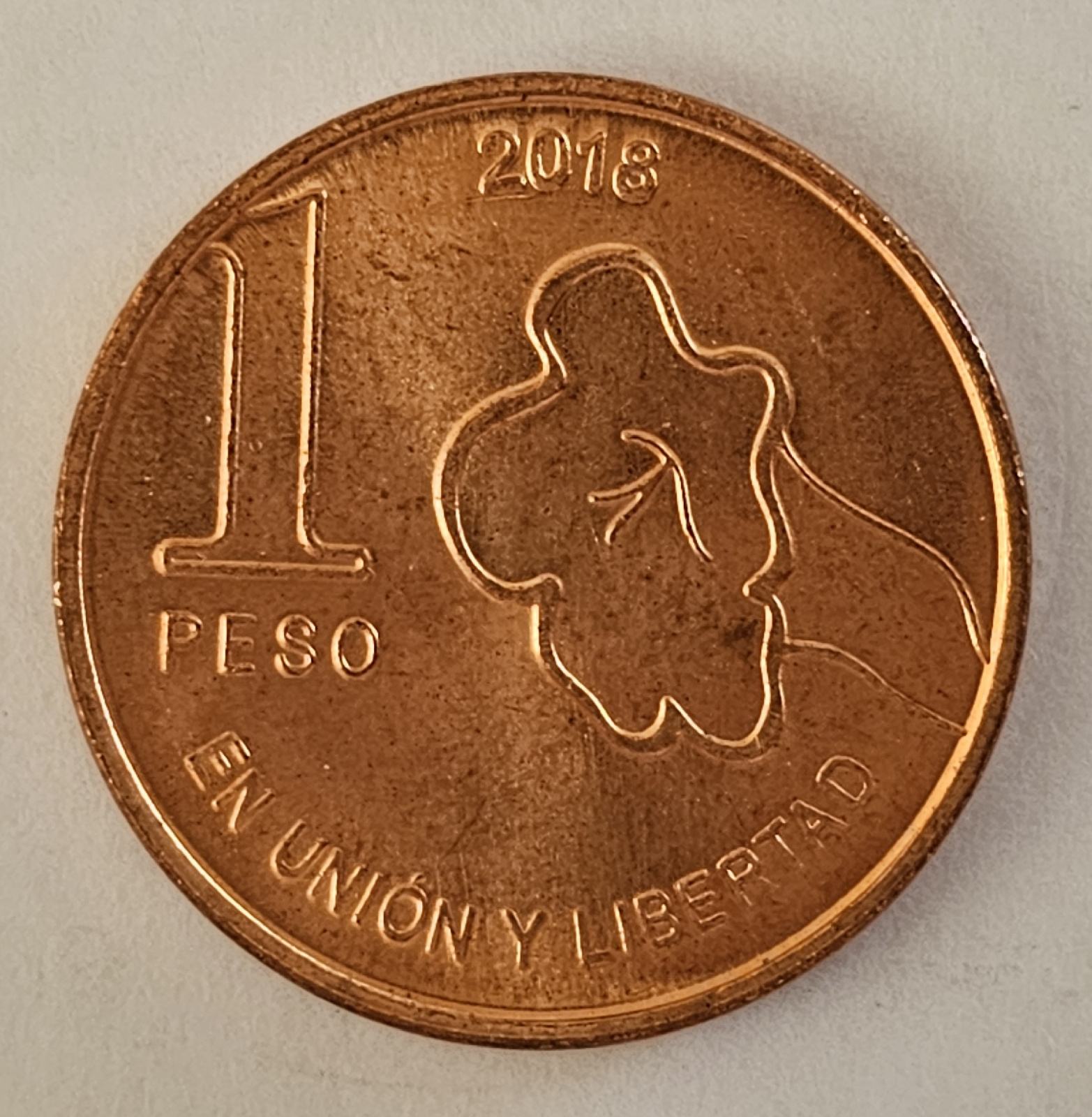 ARGENTINA- 1 PESO 2018.