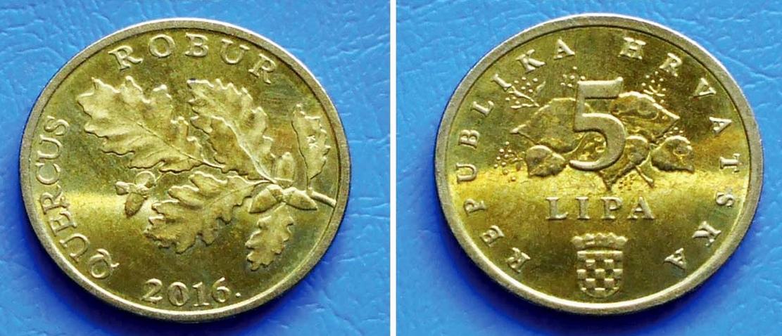 HRVATSKA CROATIA 5 LIPA 2016 KM: 15 HRAST LUŽNJAK (QUERCUS ROBUR)