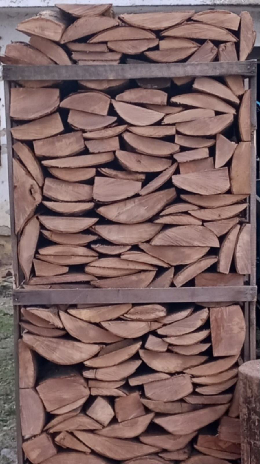 Bukva okrajci rezani