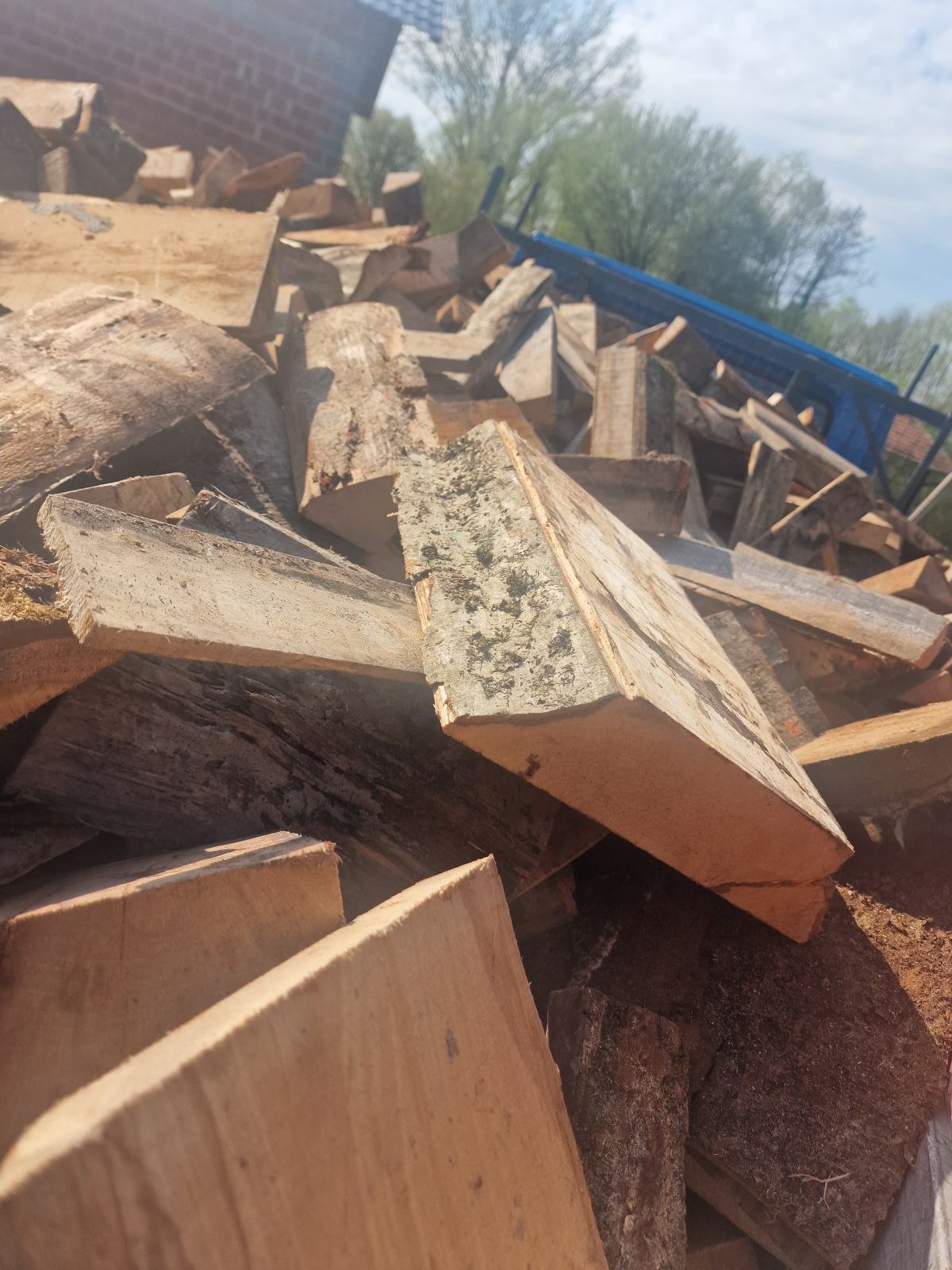 Drva za ogrijev bukva