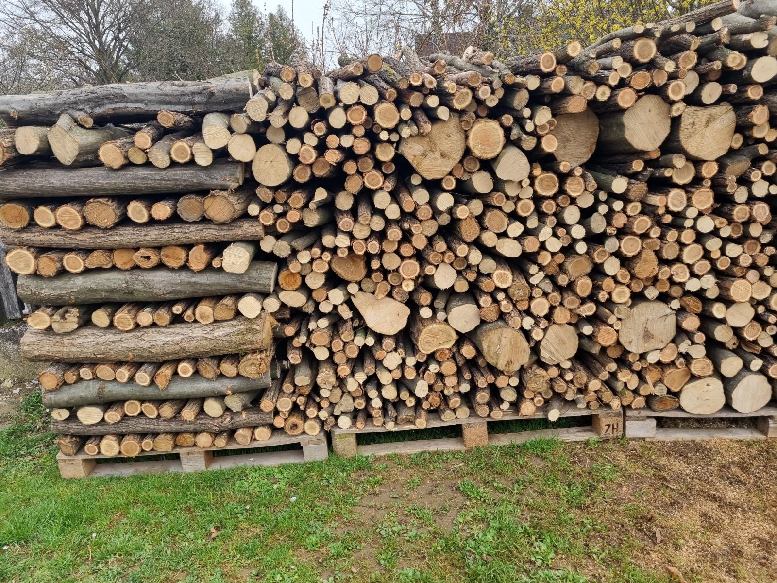 DRVA ZA OGRIJEV, OBLICE