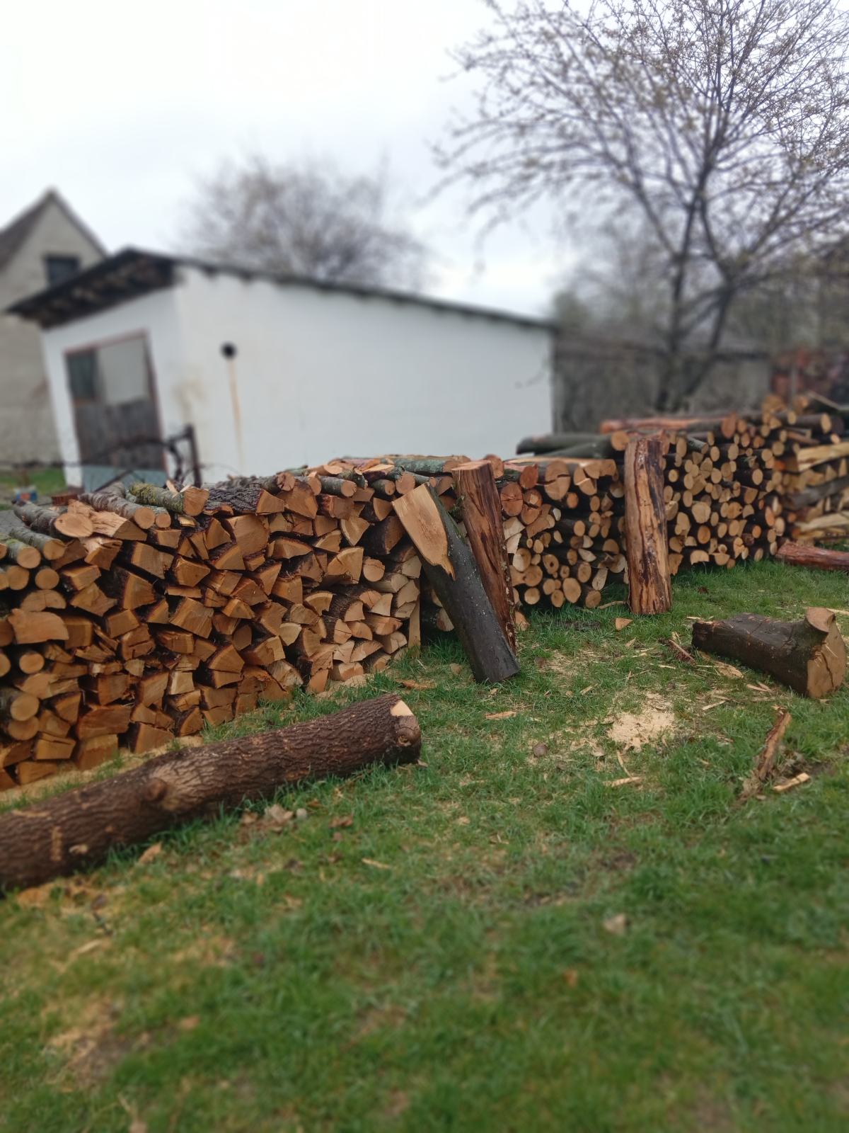 Drvo matrice jasen hrast i grab prodajem